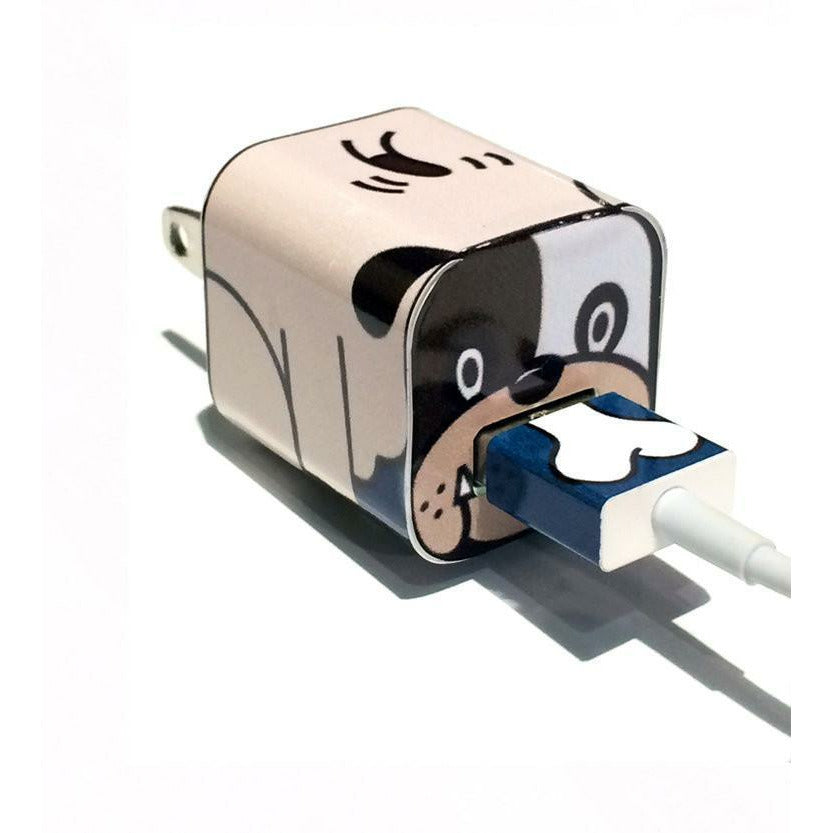 Skins for iPhone Chargers - Tween to Teen